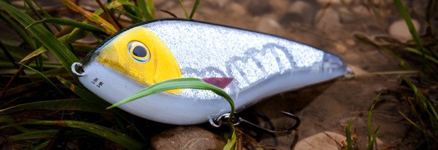 About our products | Westin Fishing