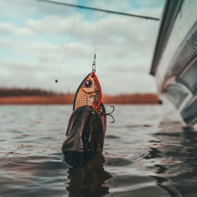 A Comprehensive Pike Fishing Guide | Westin Fishing