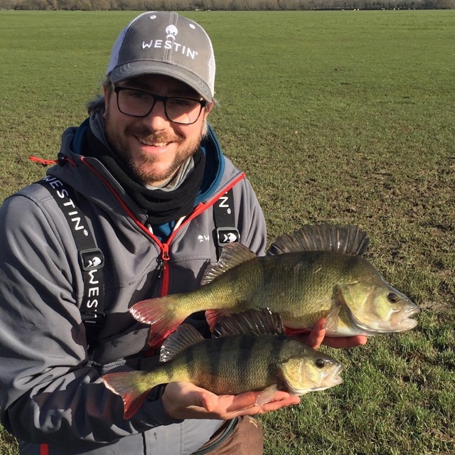 Perch fishing with lures | Westin Fishing