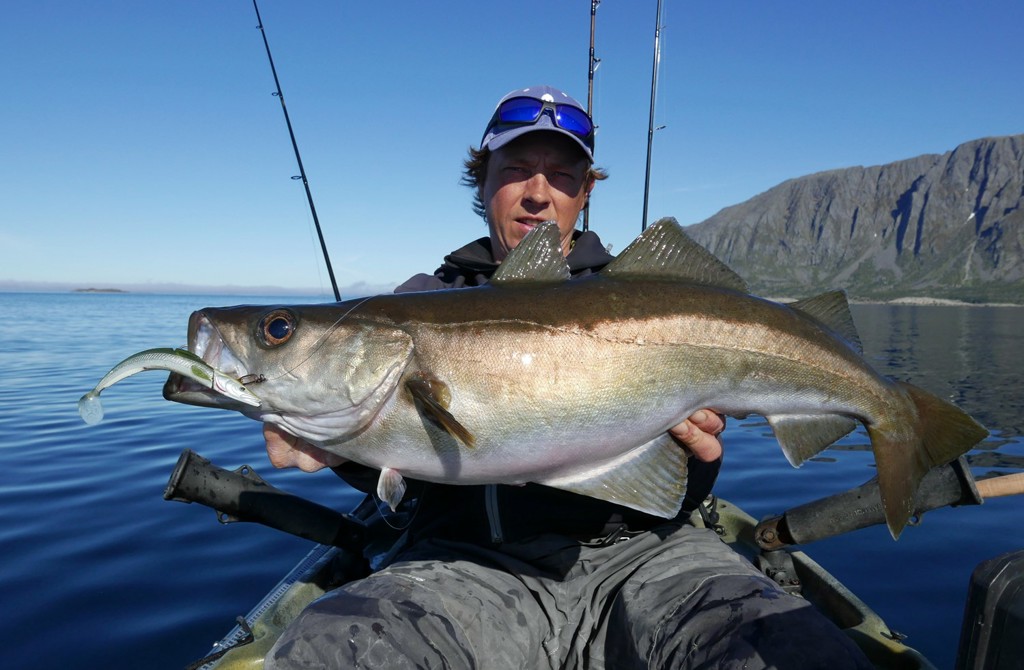 Sea Fishing with Sandy Andy | Westin Fishing